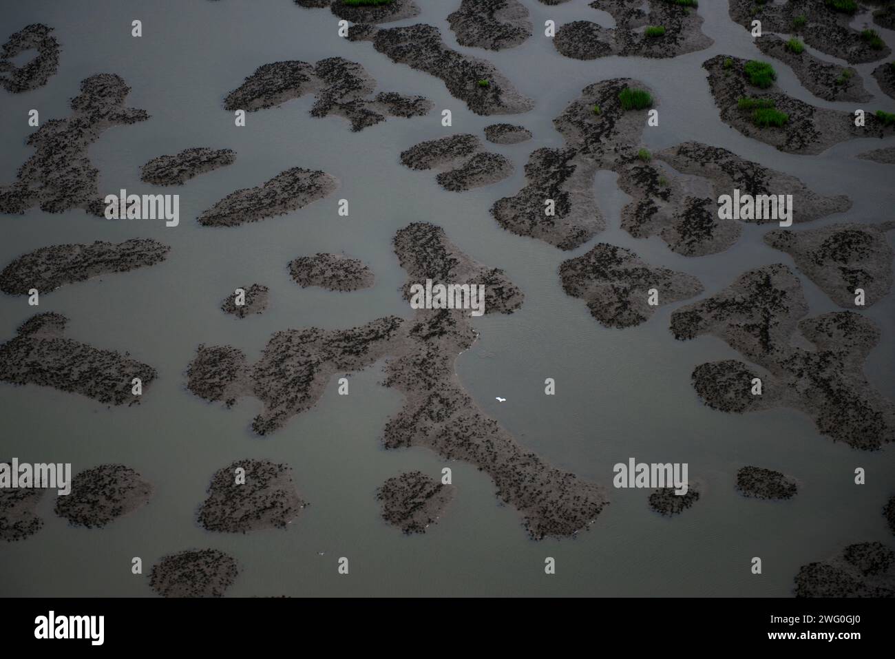 Delta marsh hi-res stock photography and images - Alamy