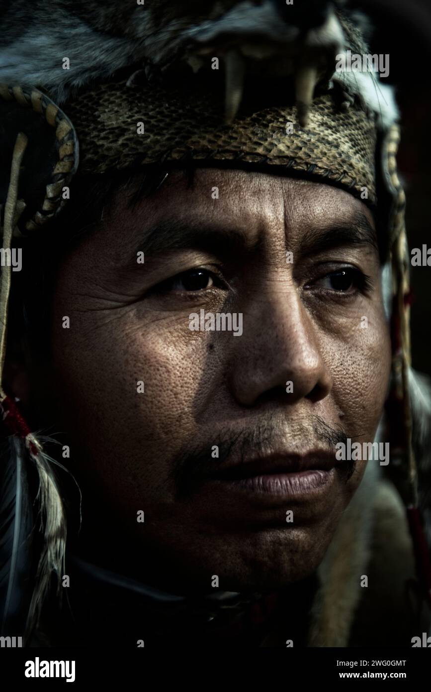 Man in Wolf-skin Stock Photo - Alamy