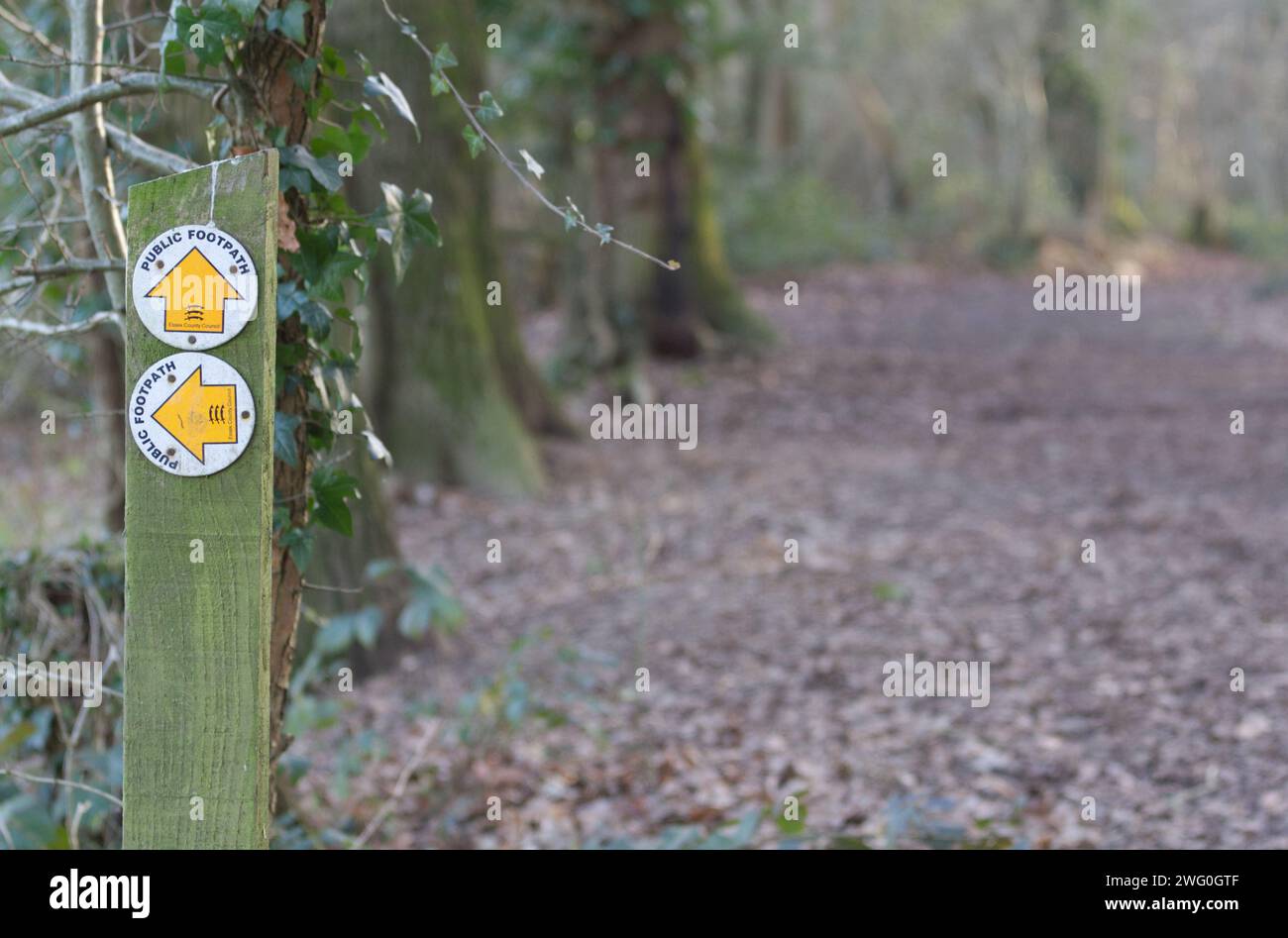 Wooden post with two circular signs showing the direction of public ...