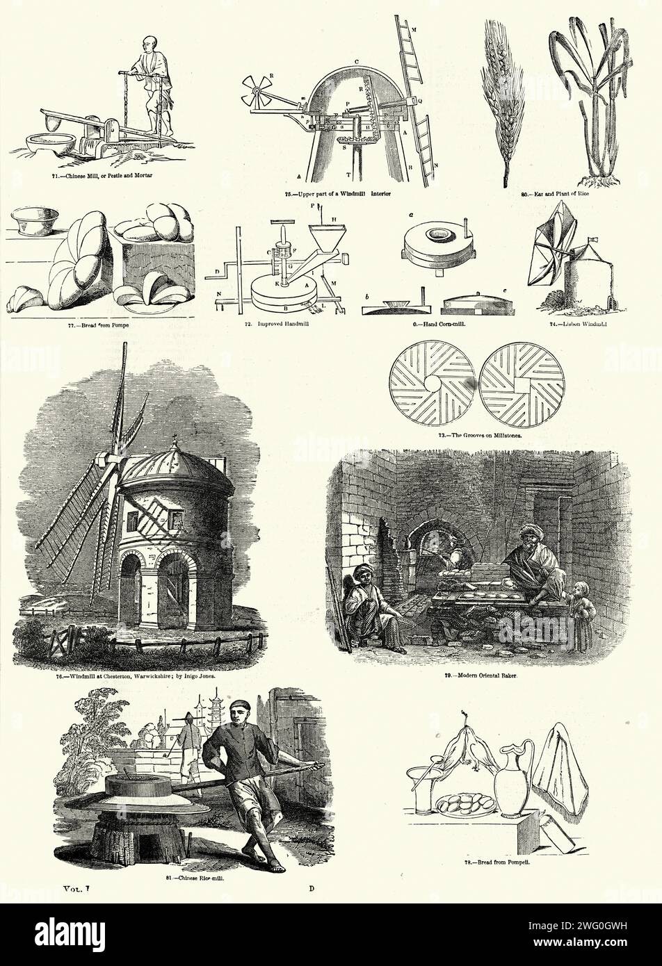 Vintage illustration History of baking, milling, windmill, mill, wheat ...