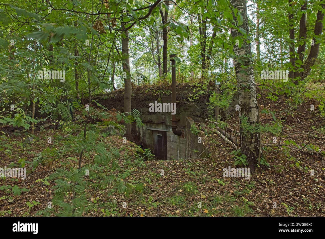 Old WW1 fortification Krepost Sveaborg ruins in forest in summer ...
