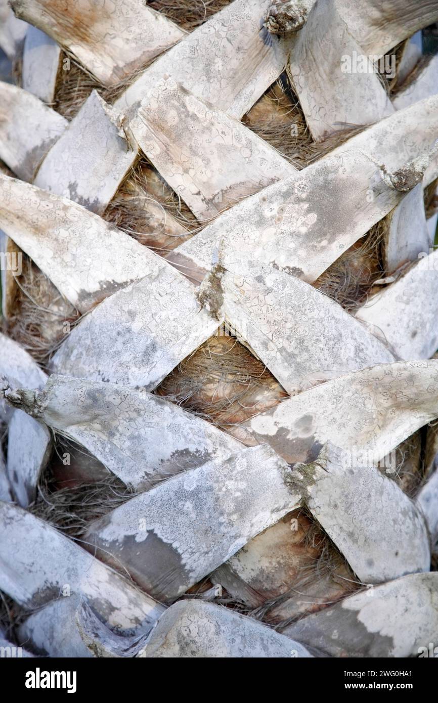 Criss cross hi-res stock photography and images - Alamy