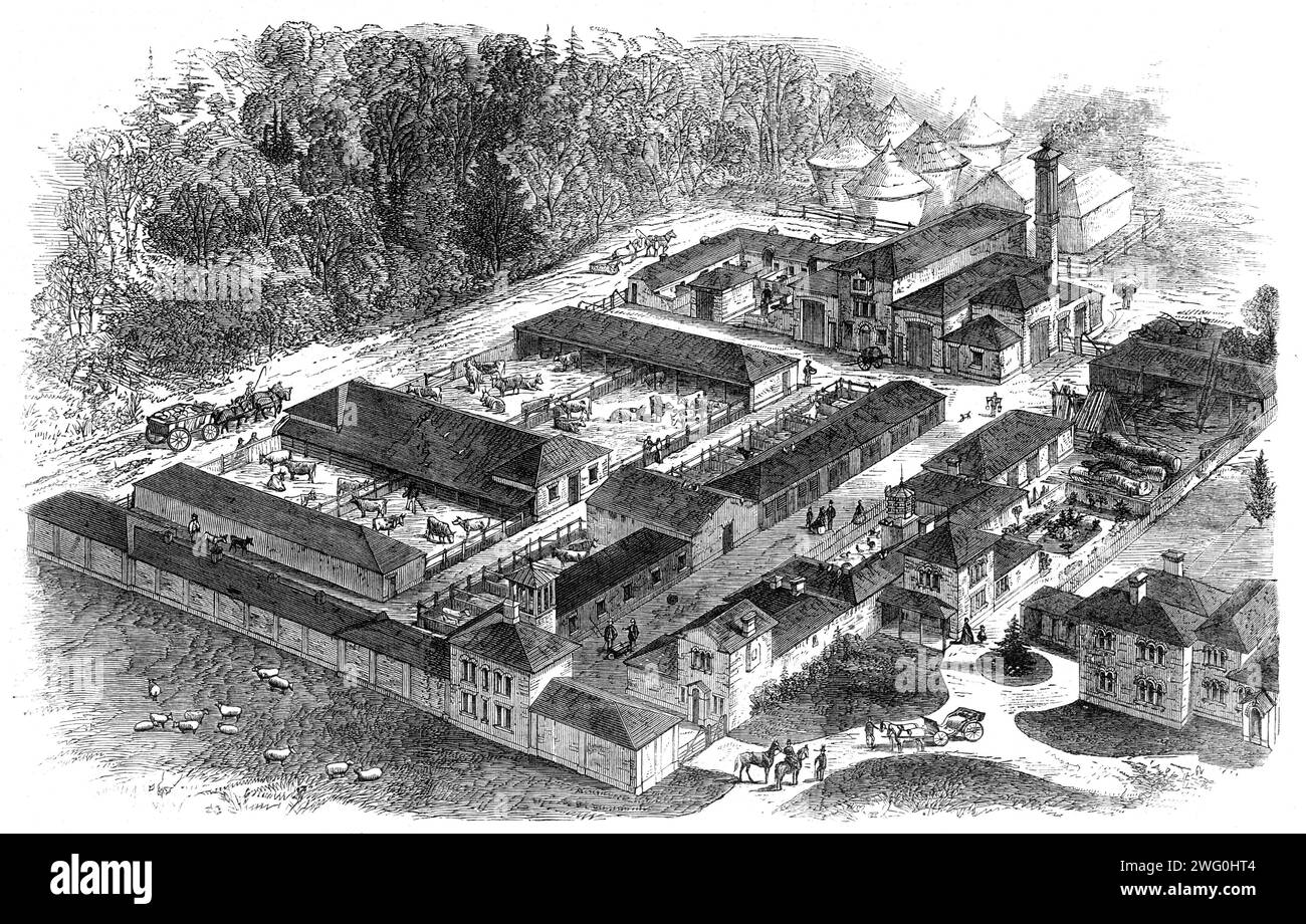 Birdseye view of the late Prince Consort's model farm at Windsor, 1862 ...