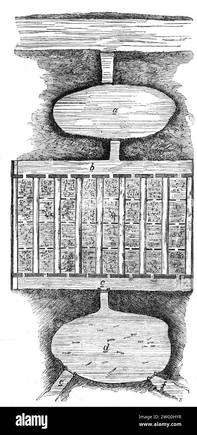 Fishes in pond fish Black and White Stock Photos & Images - Alamy