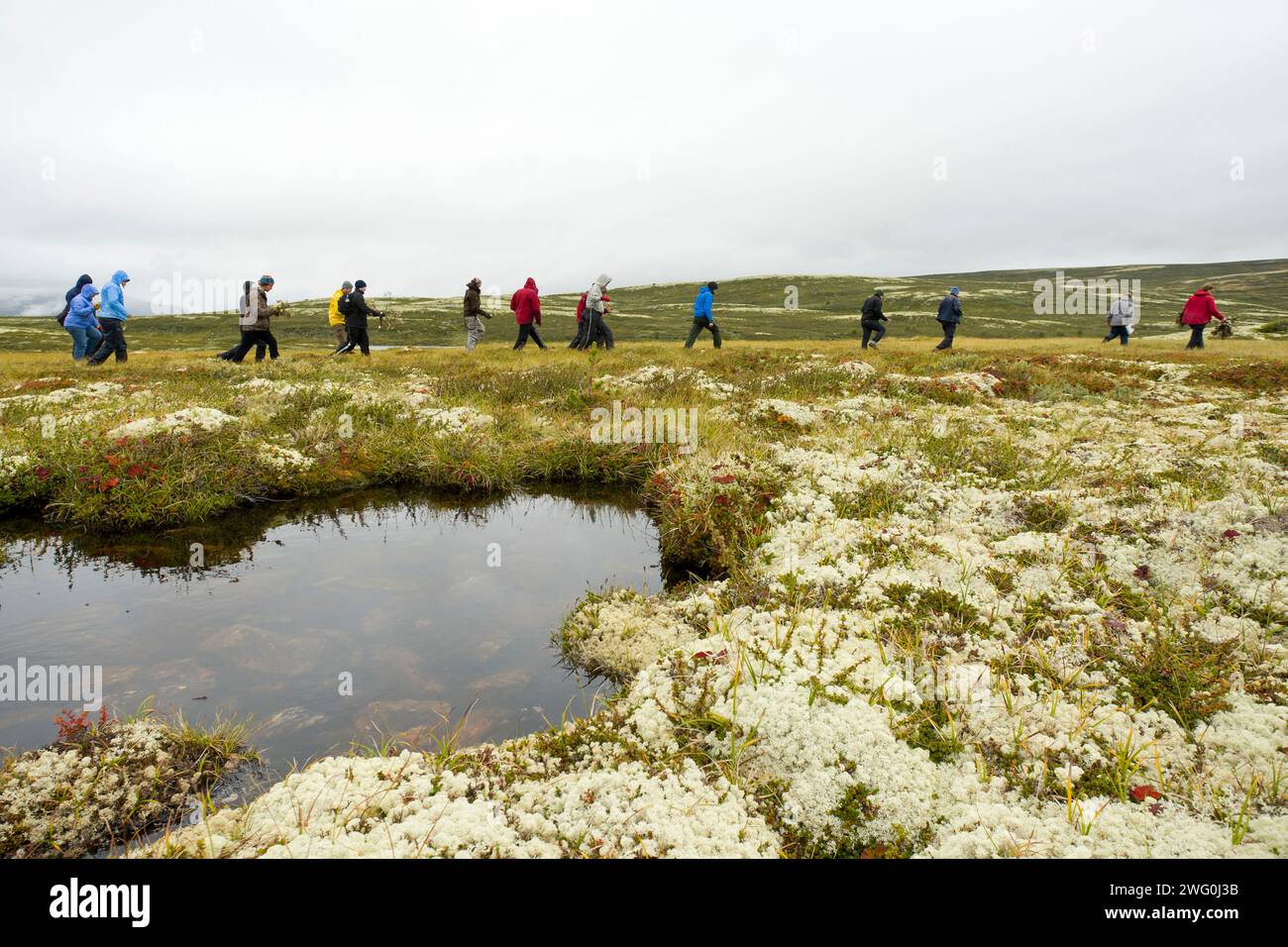 students walk through the marsh on Jetta mountain in Norway to explore ...