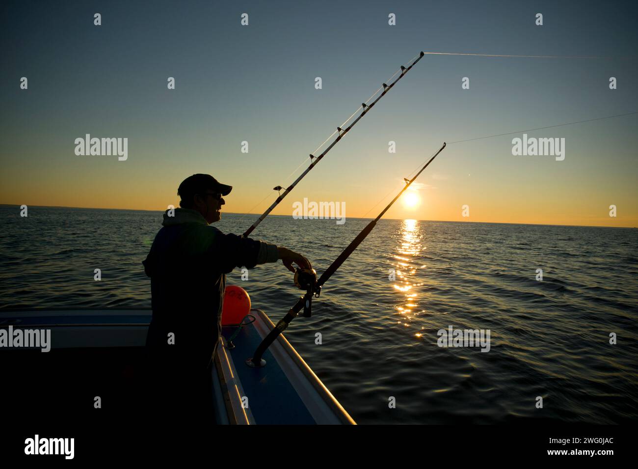 A fisherman checks his lines while blue fin tuna fishing on the Gulf of ...