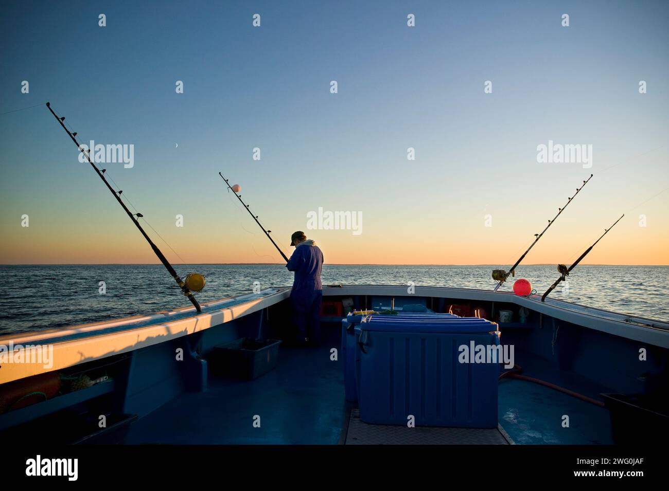 A fisherman checks his lines while blue fin tuna fishing on the Gulf of ...