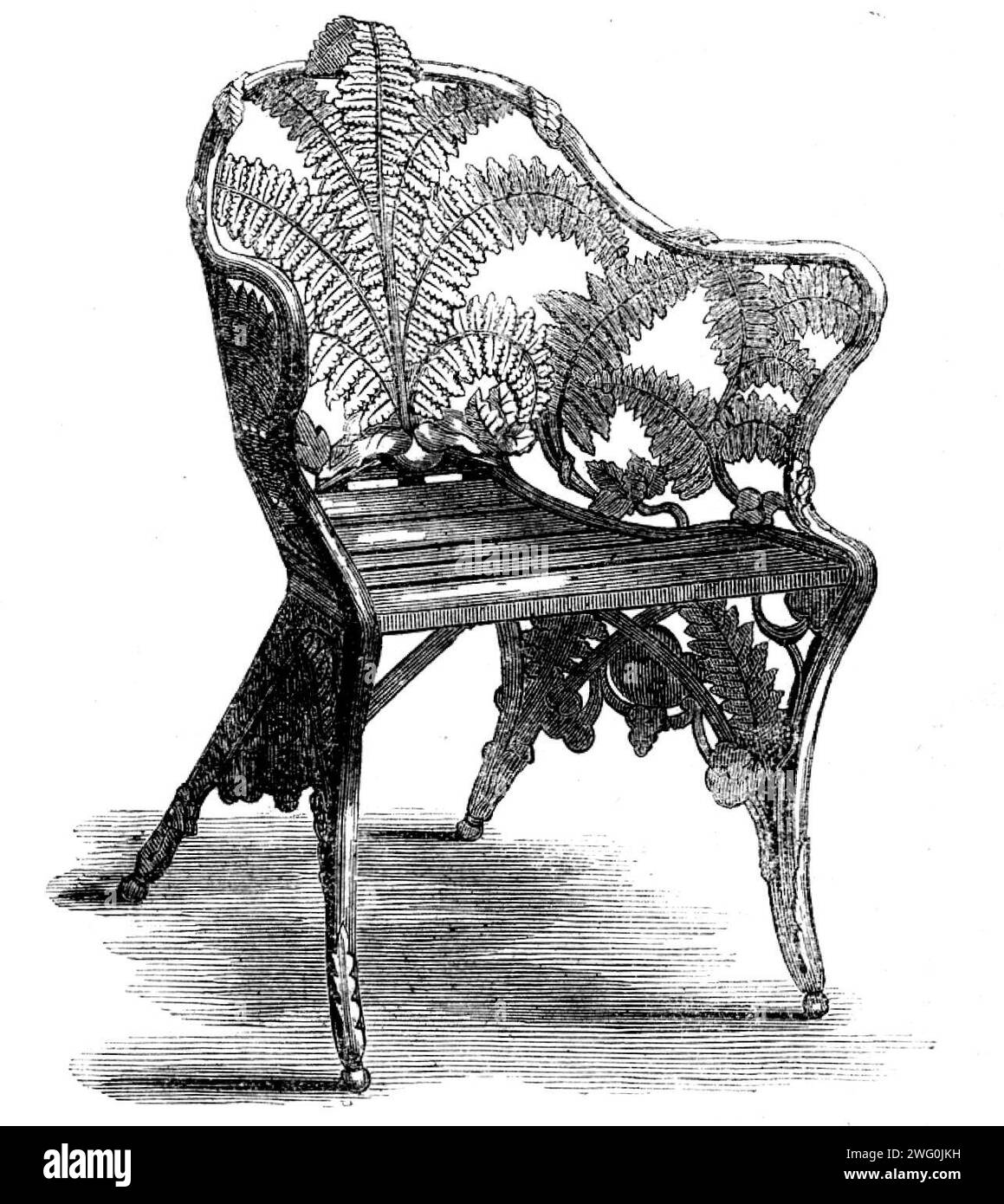 Iron fern Black and White Stock Photos & Images - Alamy