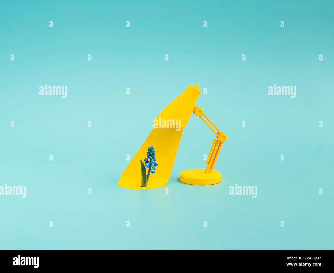 Yellow Desk Lamp Leaning Over Blue Flowers. School Study concept Stock ...