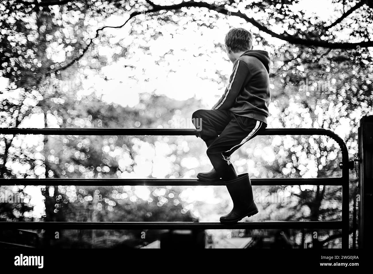 Boy sitting on farm gate under trees in spring Stock Photo - Alamy