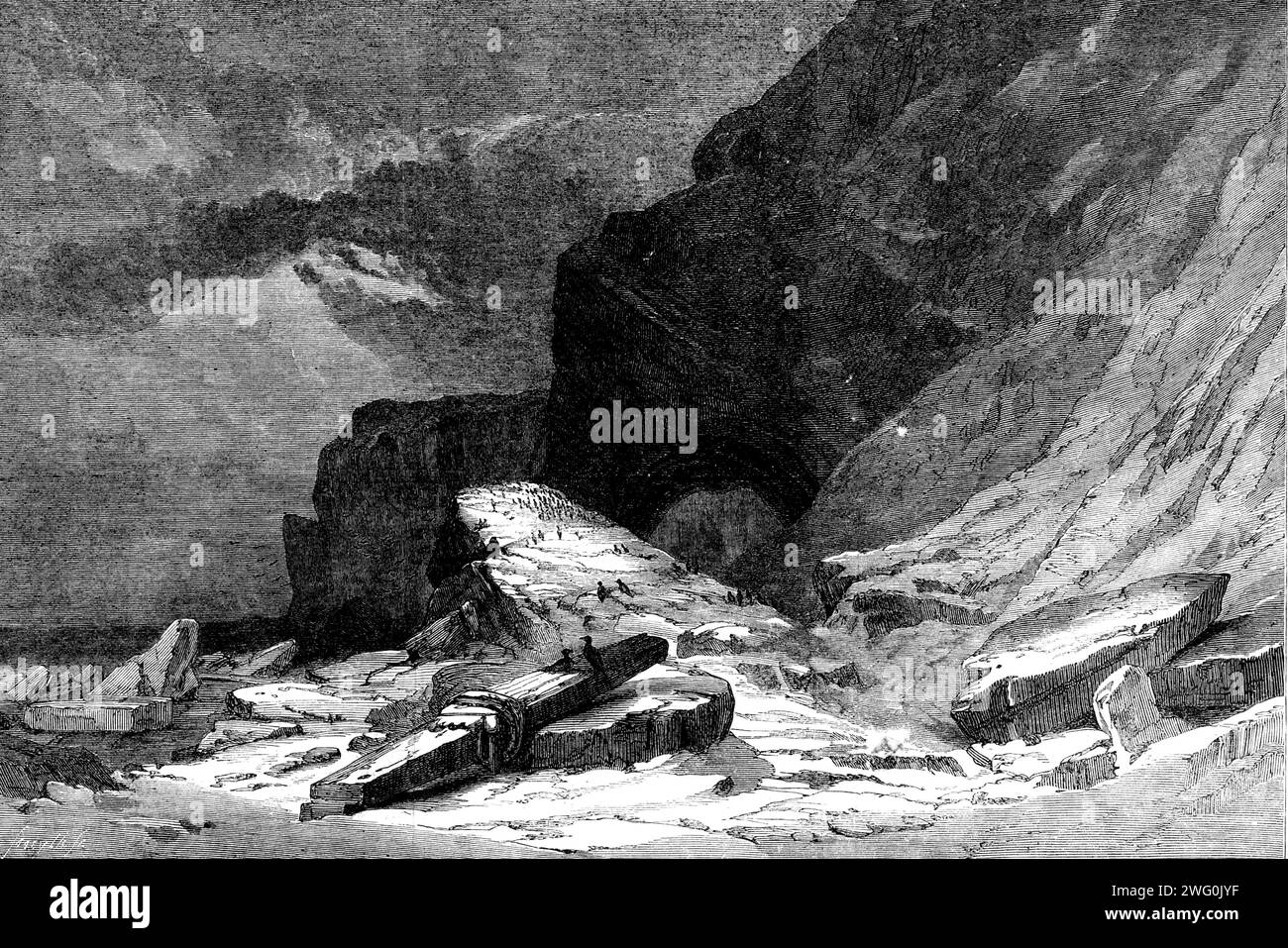 The worlds seabirds Black and White Stock Photos & Images - Alamy