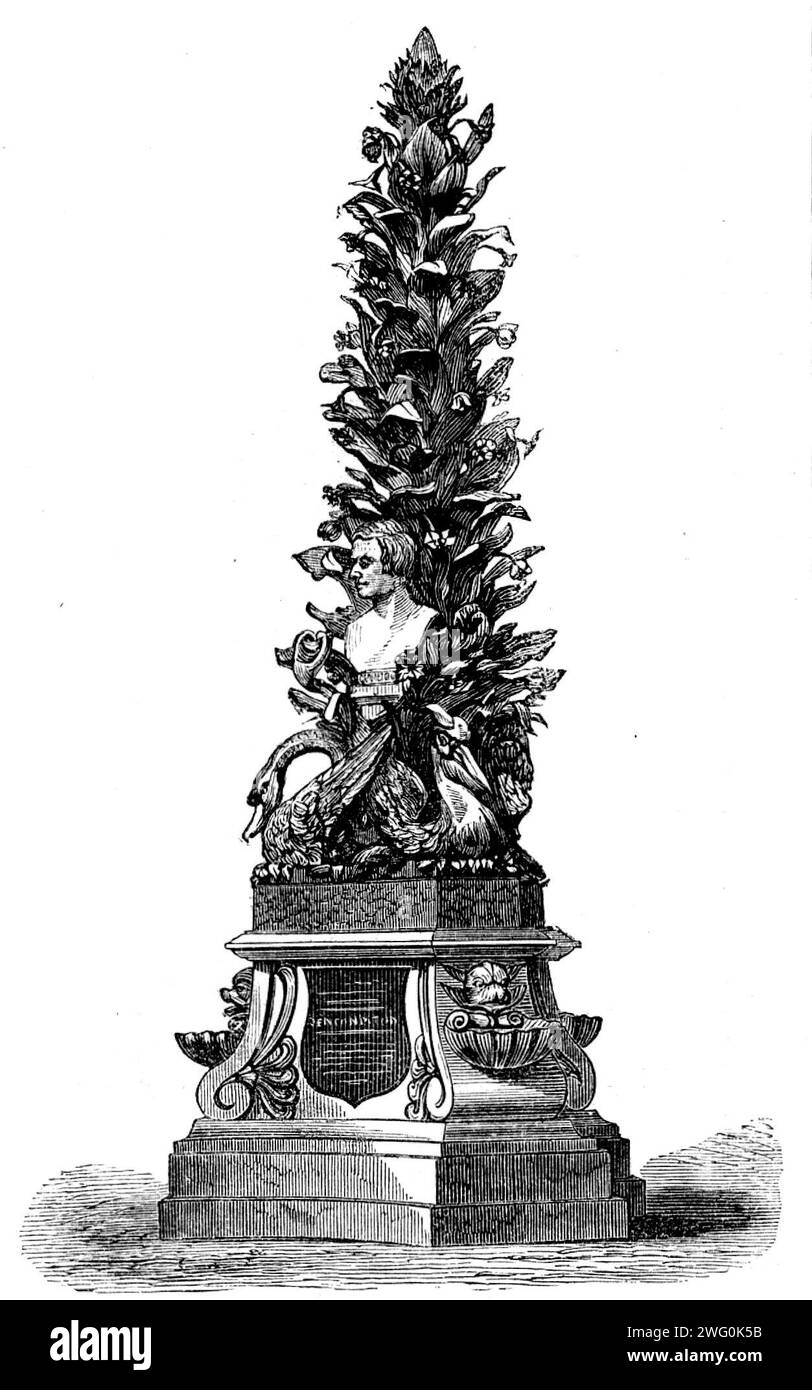 Lower well plant Black and White Stock Photos & Images - Alamy