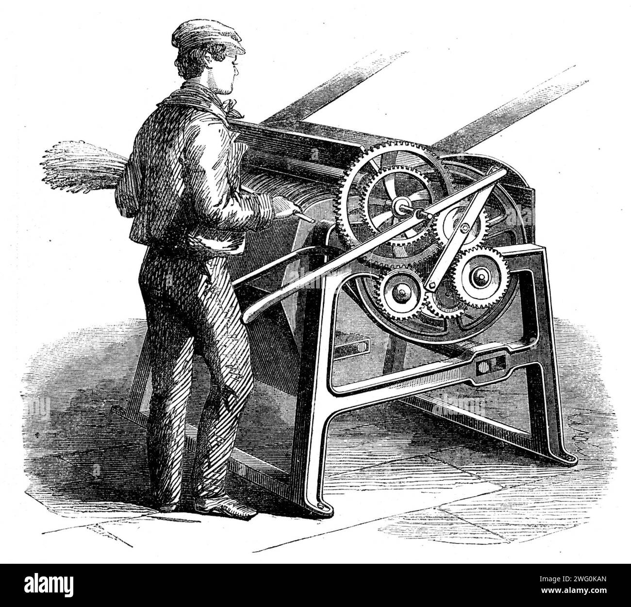 Flax stalk Black and White Stock Photos & Images - Alamy