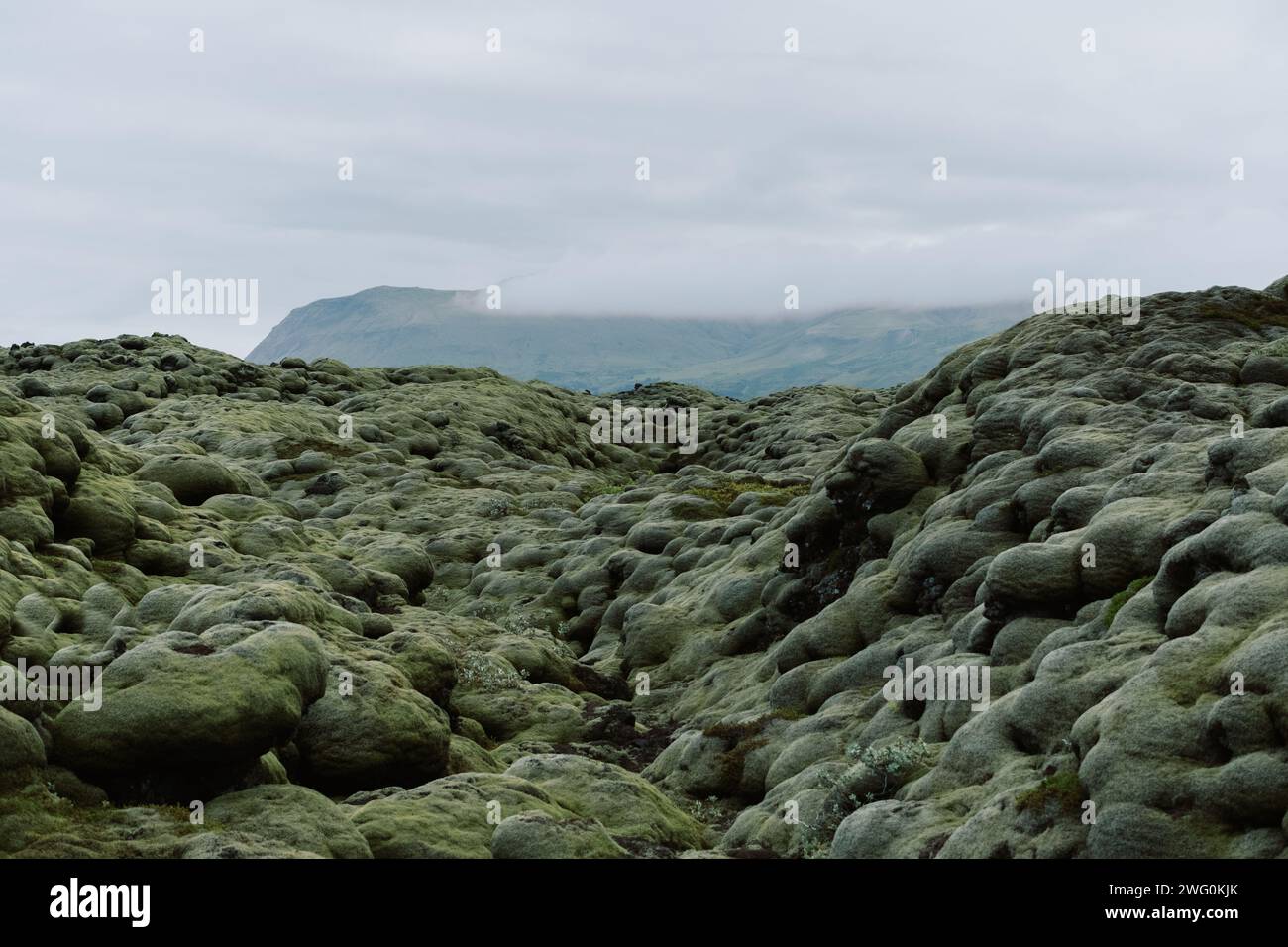 Moss covered ancient lava hi-res stock photography and images - Alamy