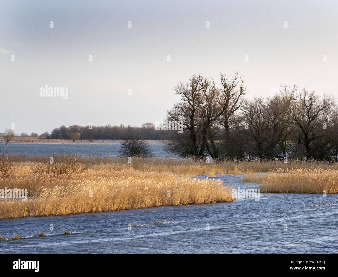 Cambridgeshire fens winter hi-res stock photography and images - Alamy