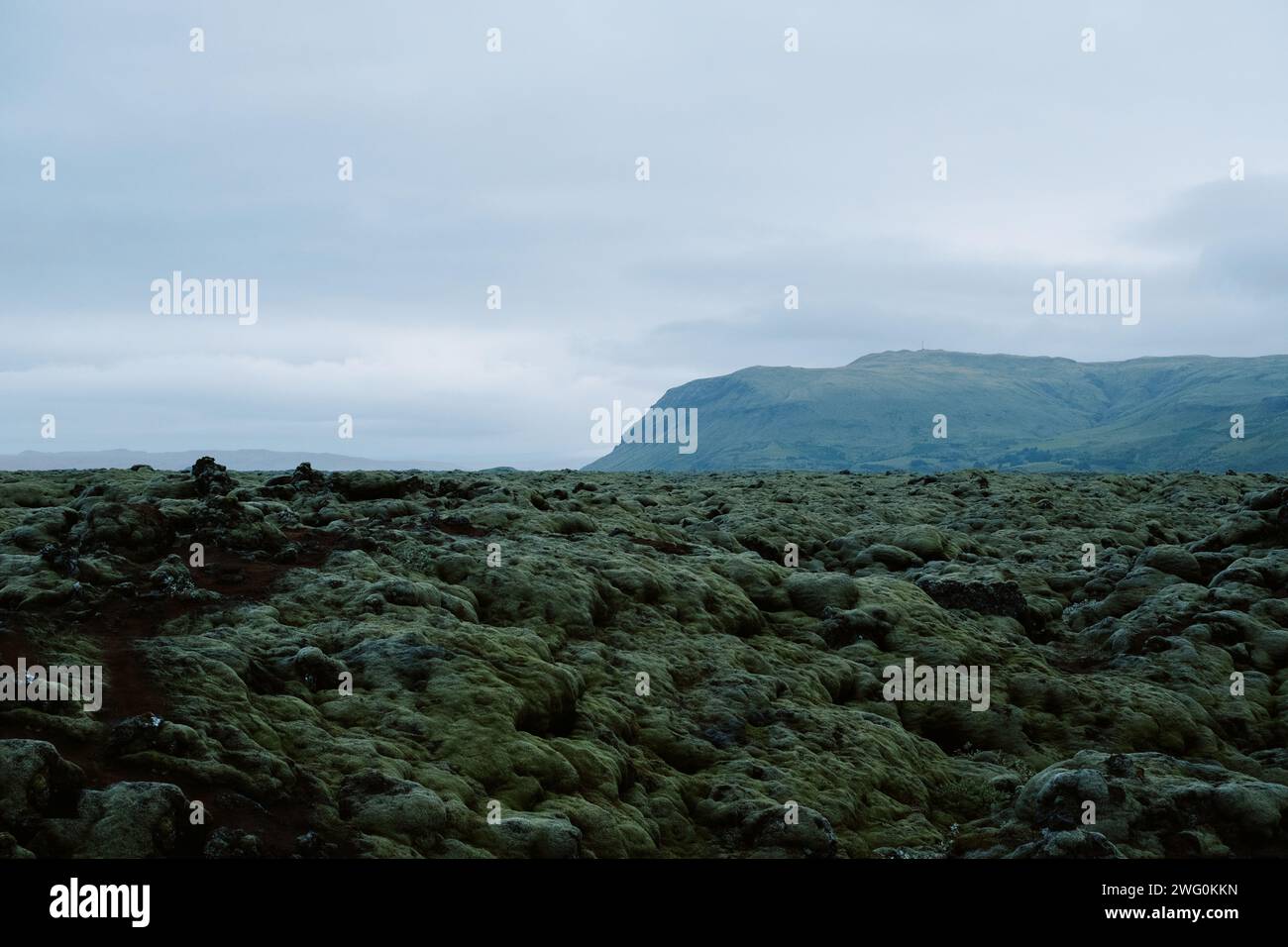 Geological environment hi-res stock photography and images - Alamy