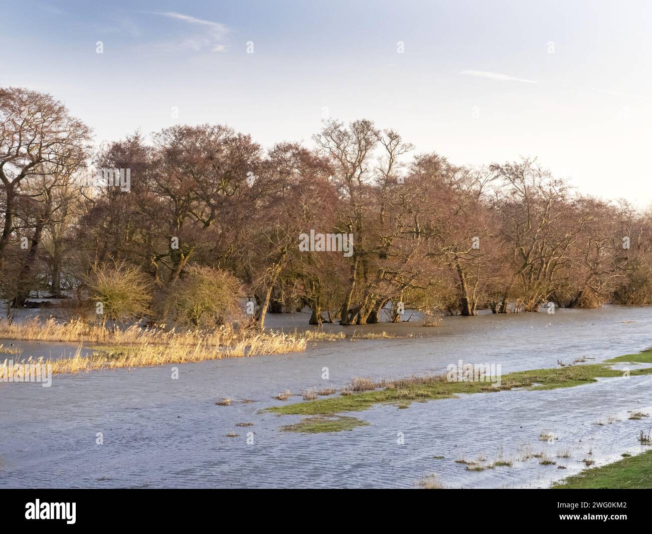 Nene washes hi-res stock photography and images - Alamy