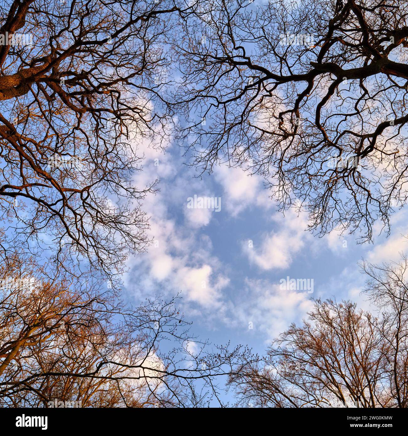 1 1 aspect ratio seasons hi-res stock photography and images - Alamy