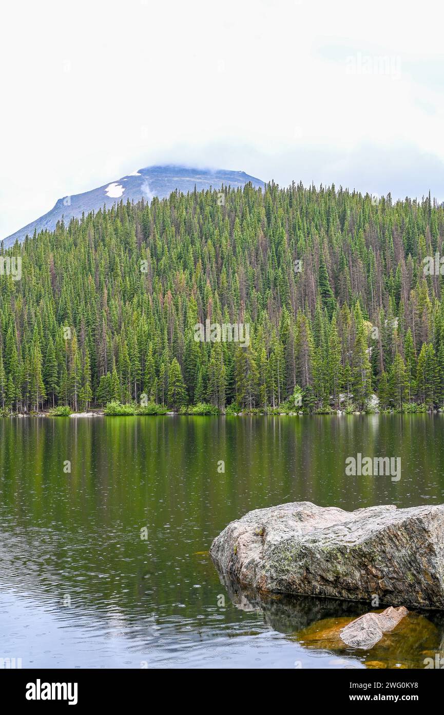 Waters edge amidst trees hi-res stock photography and images - Alamy