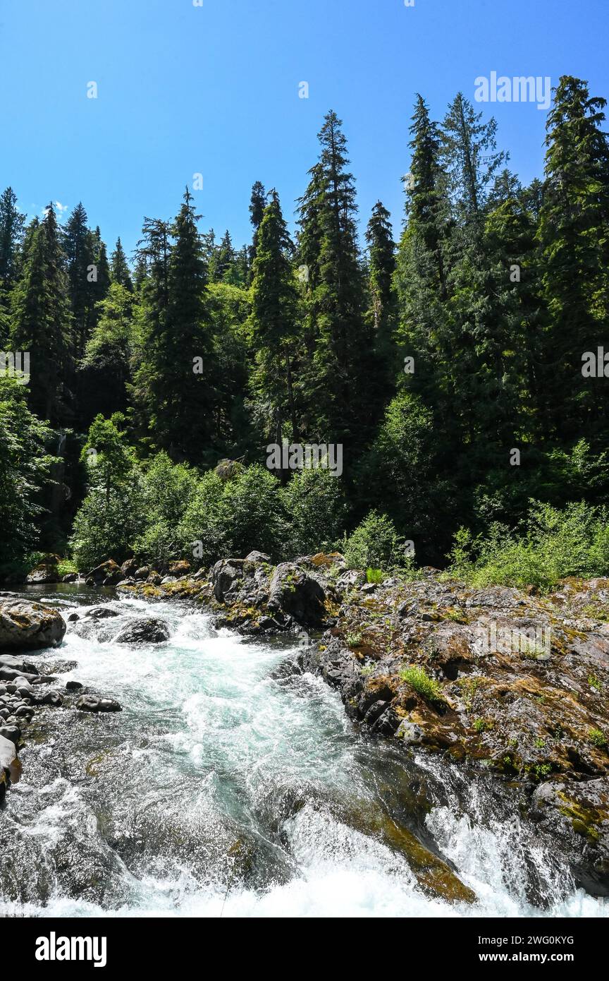 River flowing through mountainous landscape with trees in the backdrop ...
