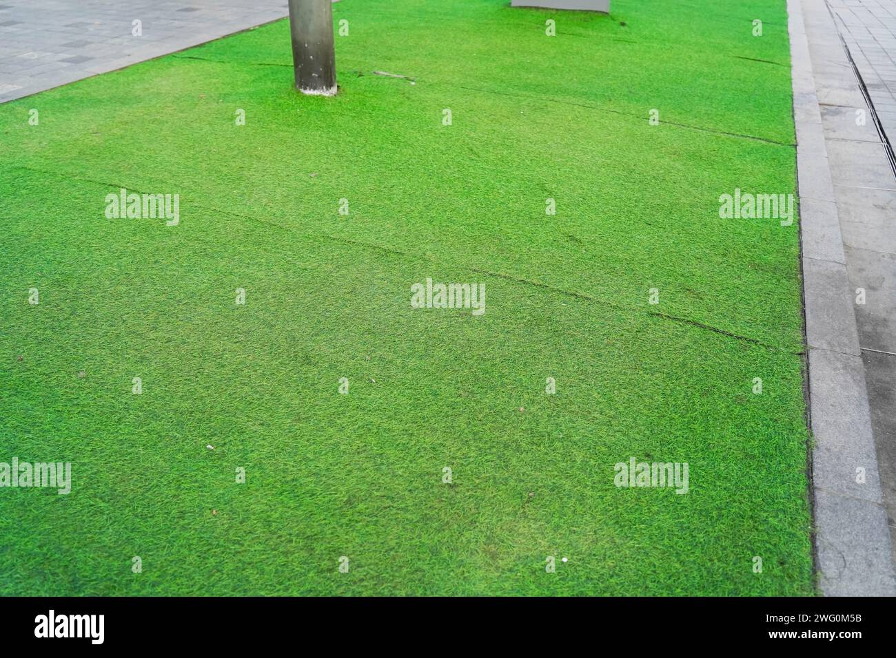 Artificial grass or lawn turf. Concrete walkway in the park Stock Photo ...