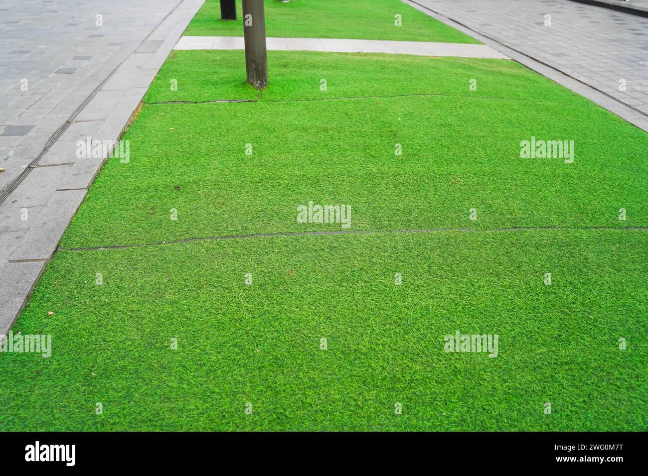 Synthetic walkway hi-res stock photography and images - Alamy