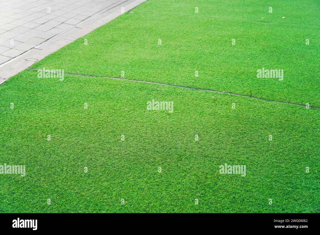 Artificial grass or lawn turf. Concrete walkway in the park Stock Photo ...