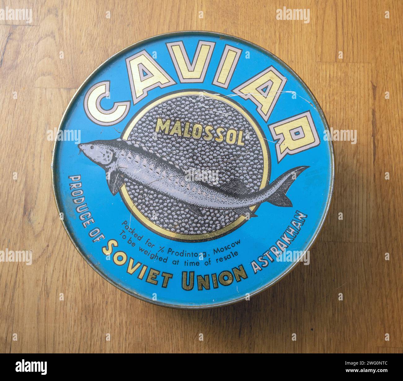 Huso huso hi-res stock photography and images - Alamy