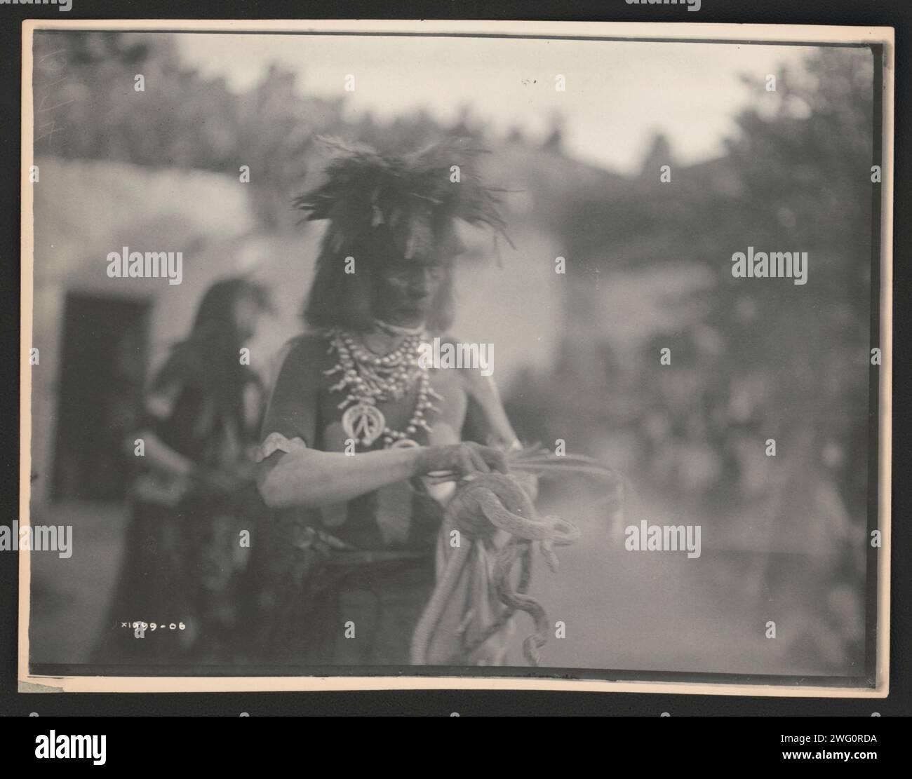 Native platinum hi-res stock photography and images - Alamy