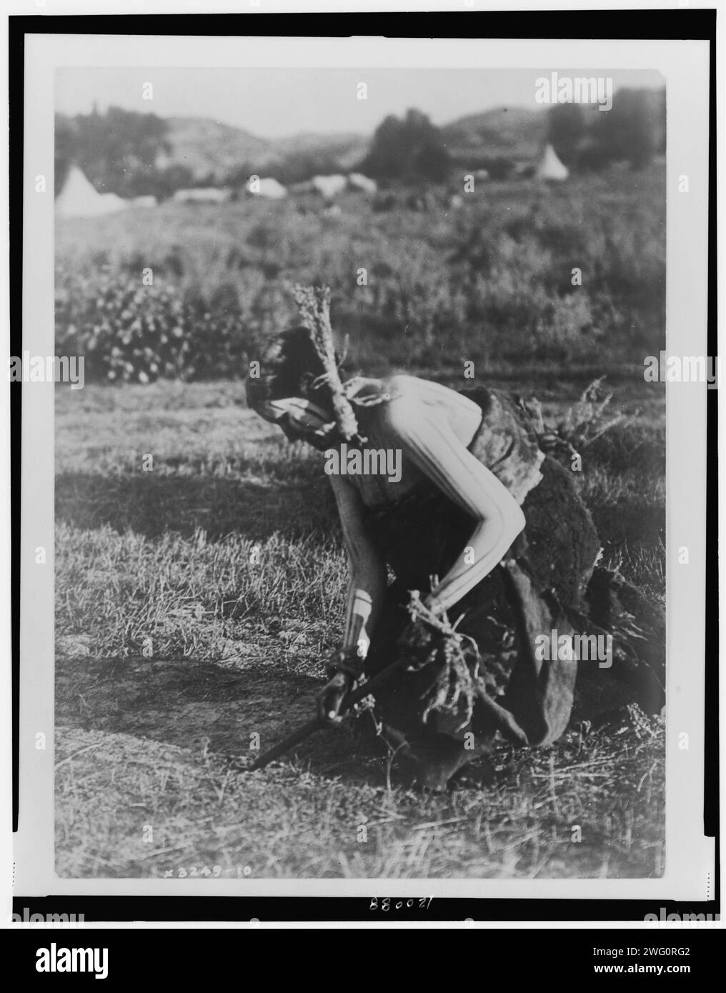 Offering the pipe to the Earth-Cheyenne, c1910. Cheyenne woman holding ...