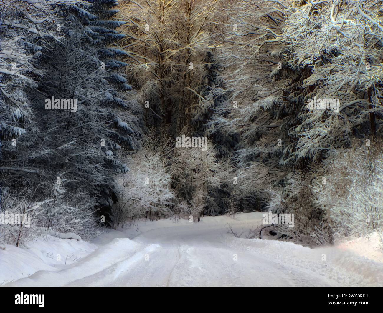 Road trees winter cold temperature hi-res stock photography and images ...