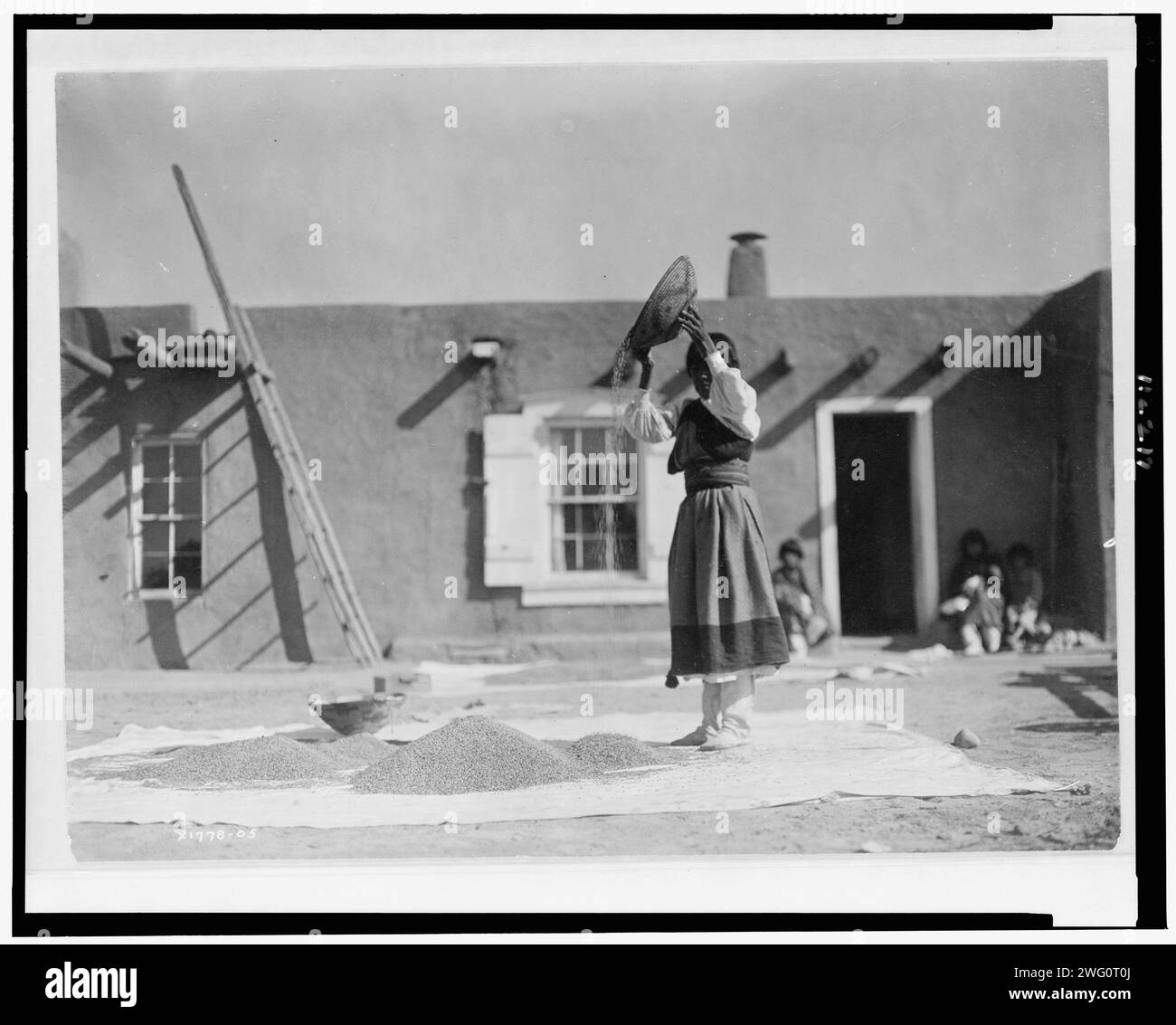 Winnowing wheat, c1905. Tewa woman winnowing wheat in front of pueblo ...