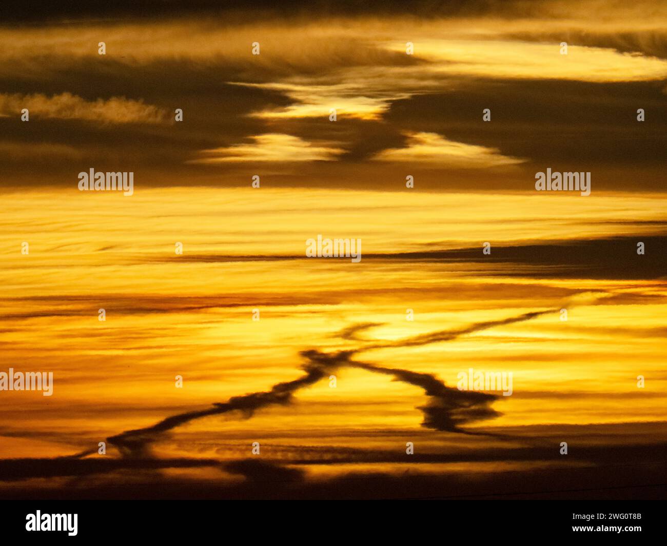 Nene washes hi-res stock photography and images - Alamy