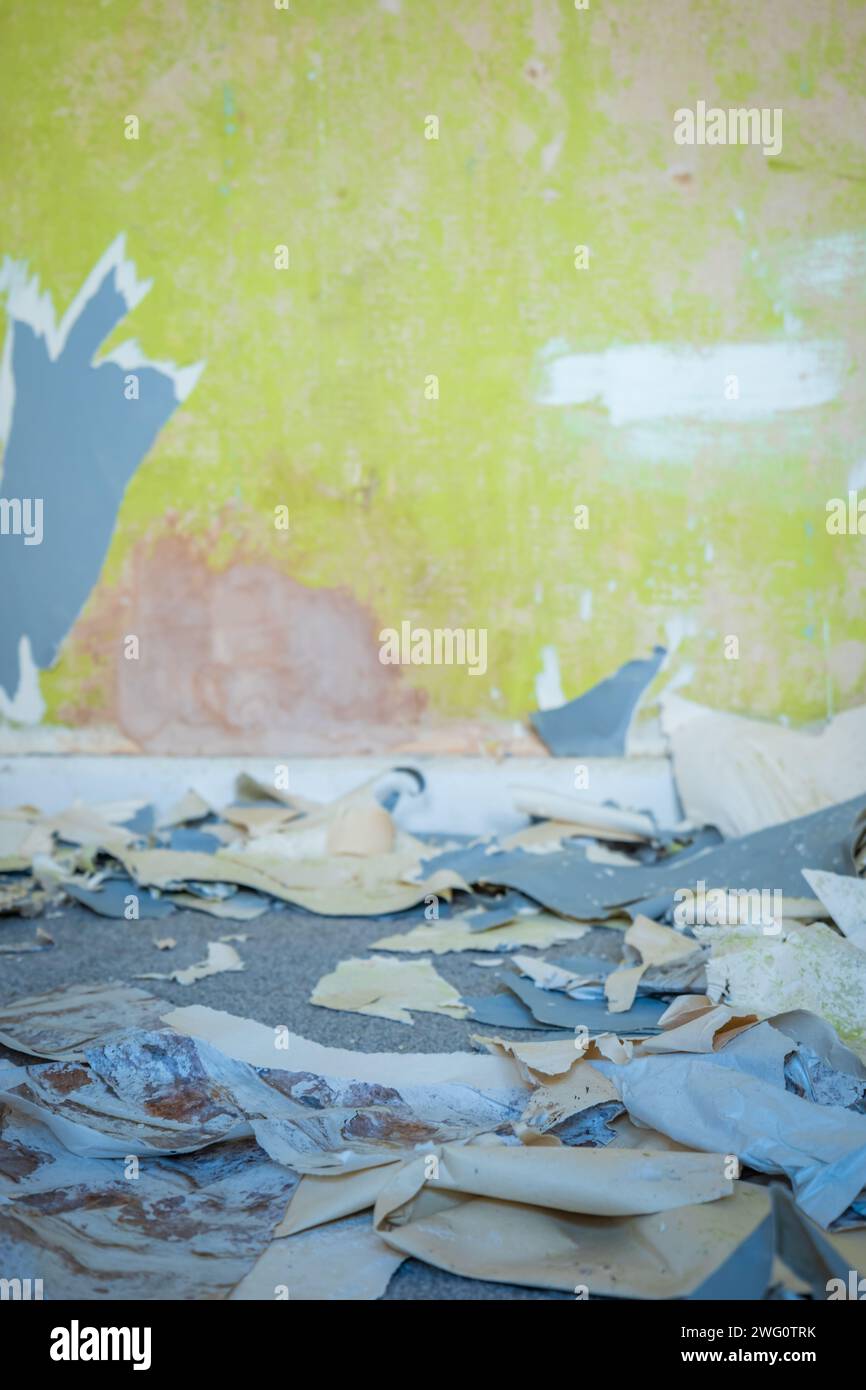 Stripped wallpaper pieces laying on floor during room renovation in ...