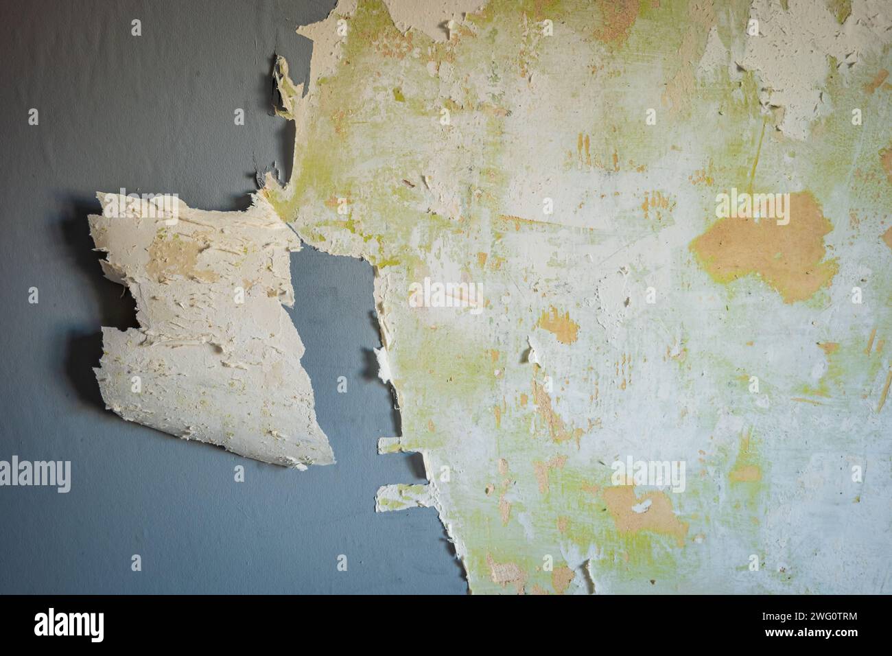 Stripped wallpaper pieces laying on floor during room renovation in ...