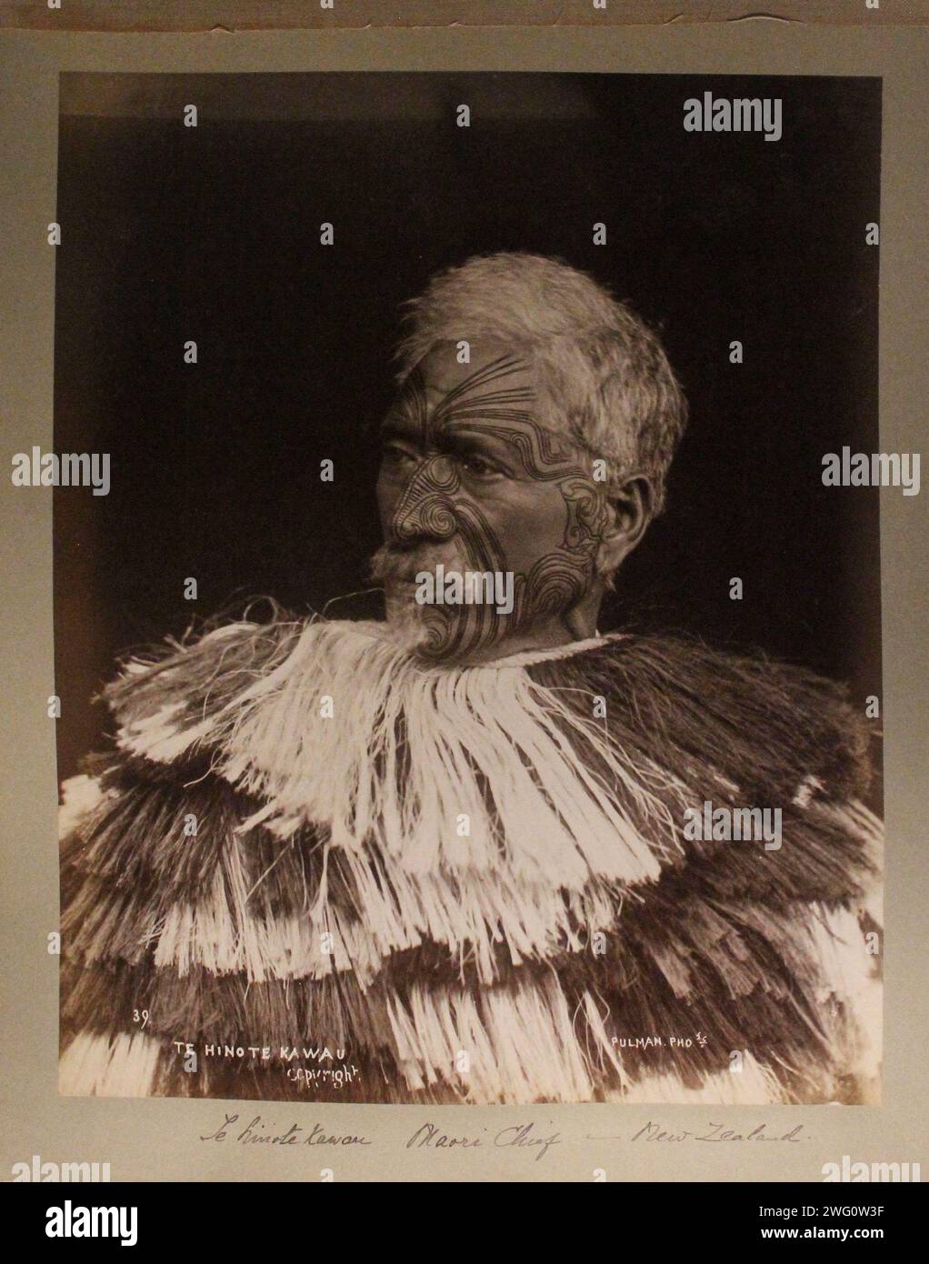 Maori chief, Te Hinote Kawau, portrait. He has a mustache, goatee ...