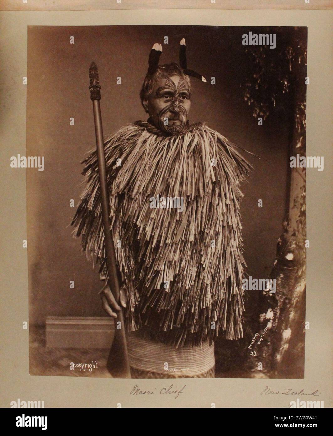 Maori chief historical hi-res stock photography and images - Alamy