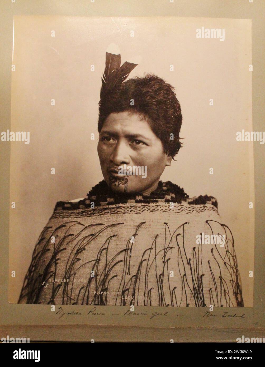 A Maori girl, Ngapere Puna, poses against a plain background. She has ...