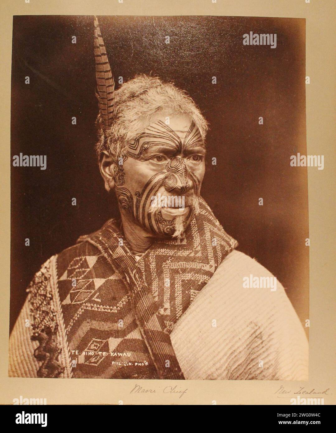 Maori chief, Te Hino Te Kawau, poses against a plain background. He has ...