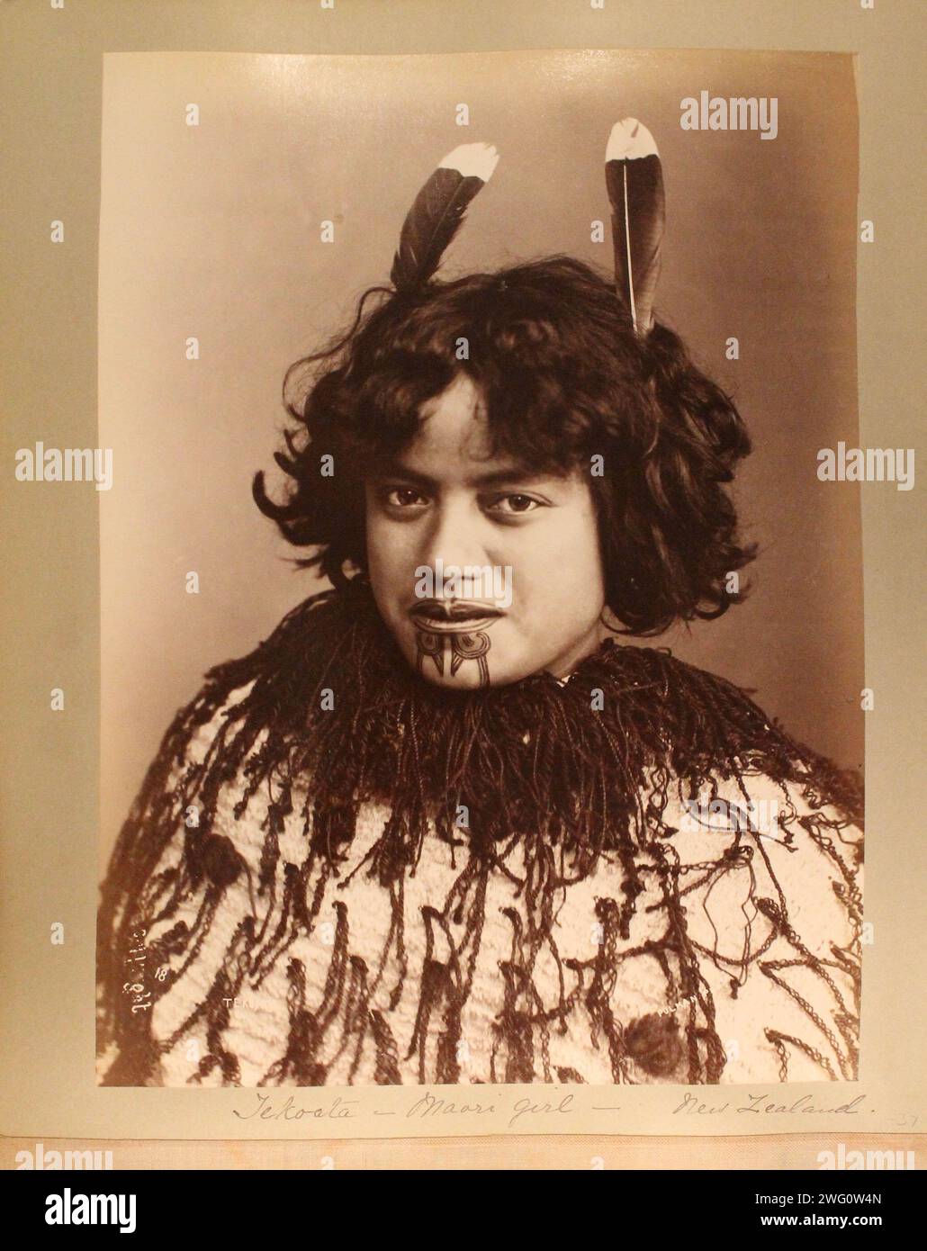 A Maori girl, Tekoata, poses against a plain background. She has medium ...