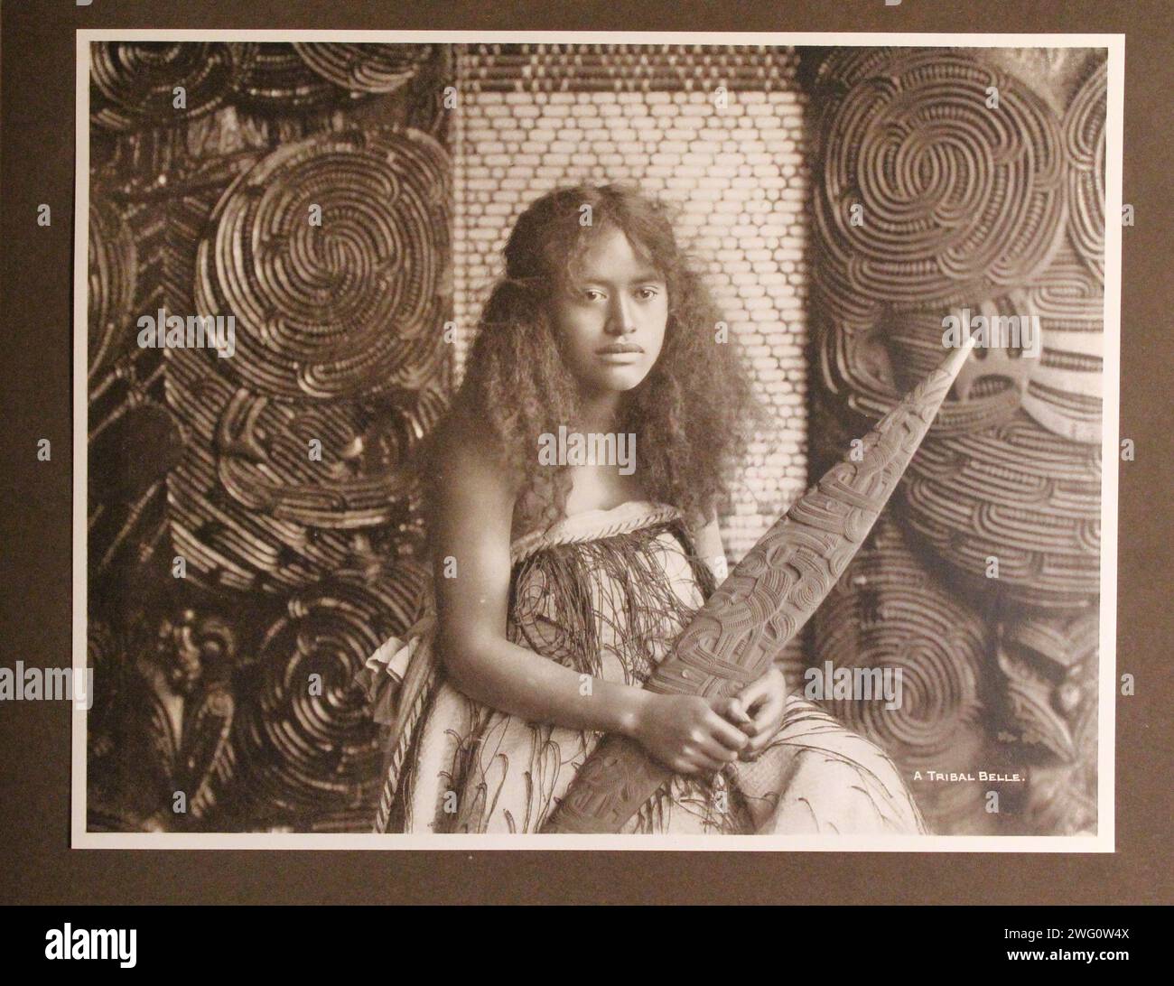 Maori girl. Portrait, 1891. A Maori girl sits in front of an ...
