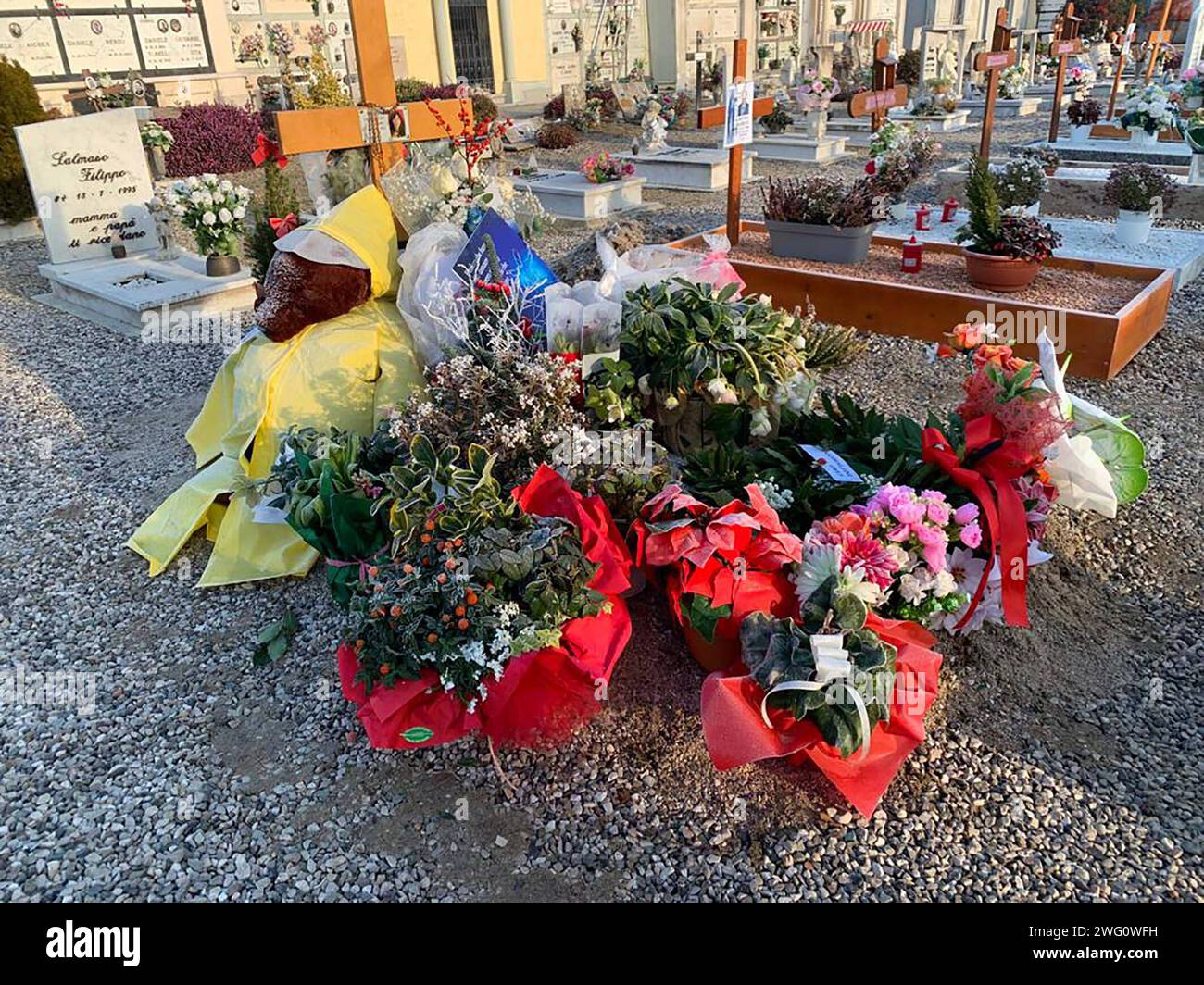 News - Wreath-laying ceremony at the Giulia Cecchettin tombstone for ...