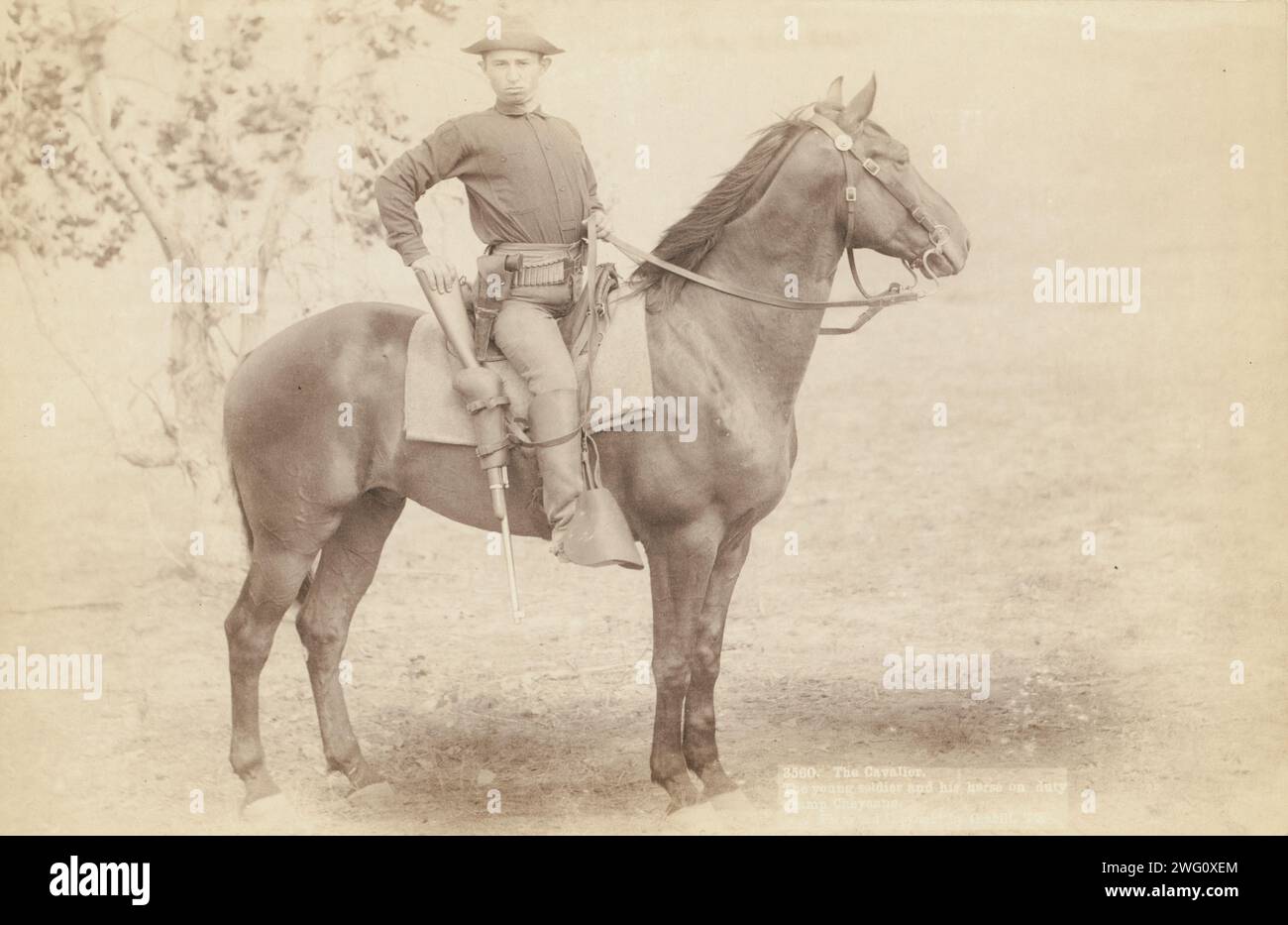 The Cavalier The young soldier and his horse on duty [a]t camp Cheyenne ...