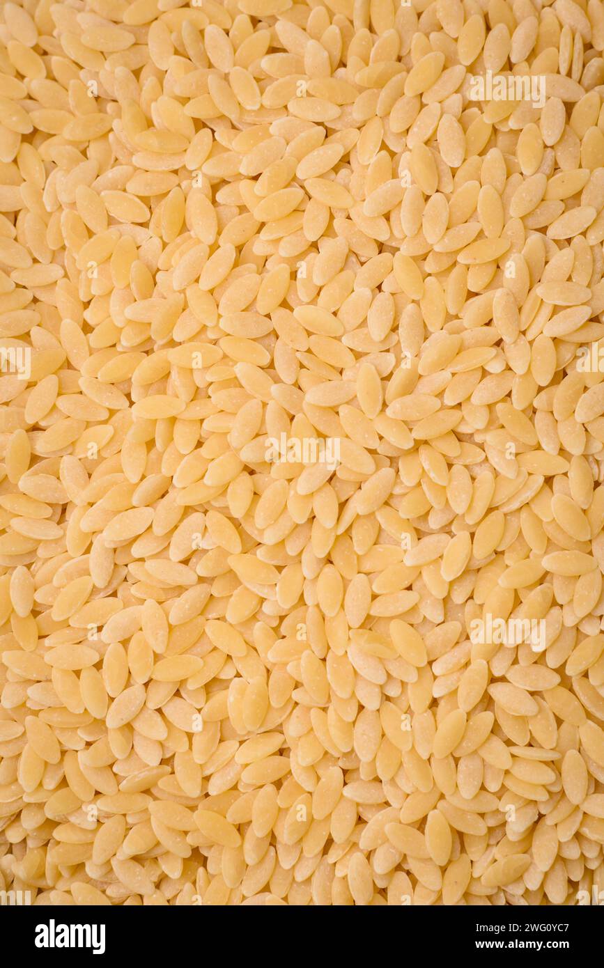 Raw risoni pasta made from durum wheat on a dark concrete background ...