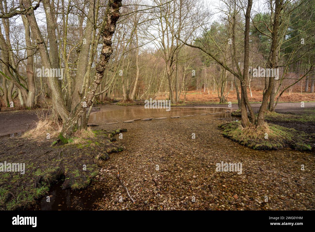 The stepping stones also known as the hangmans stones at Sherbrook ...
