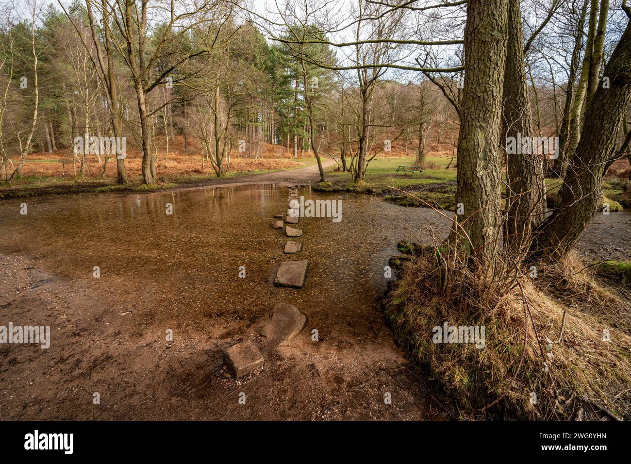 The stepping stones also known as the hangmans stones at Sherbrook ...