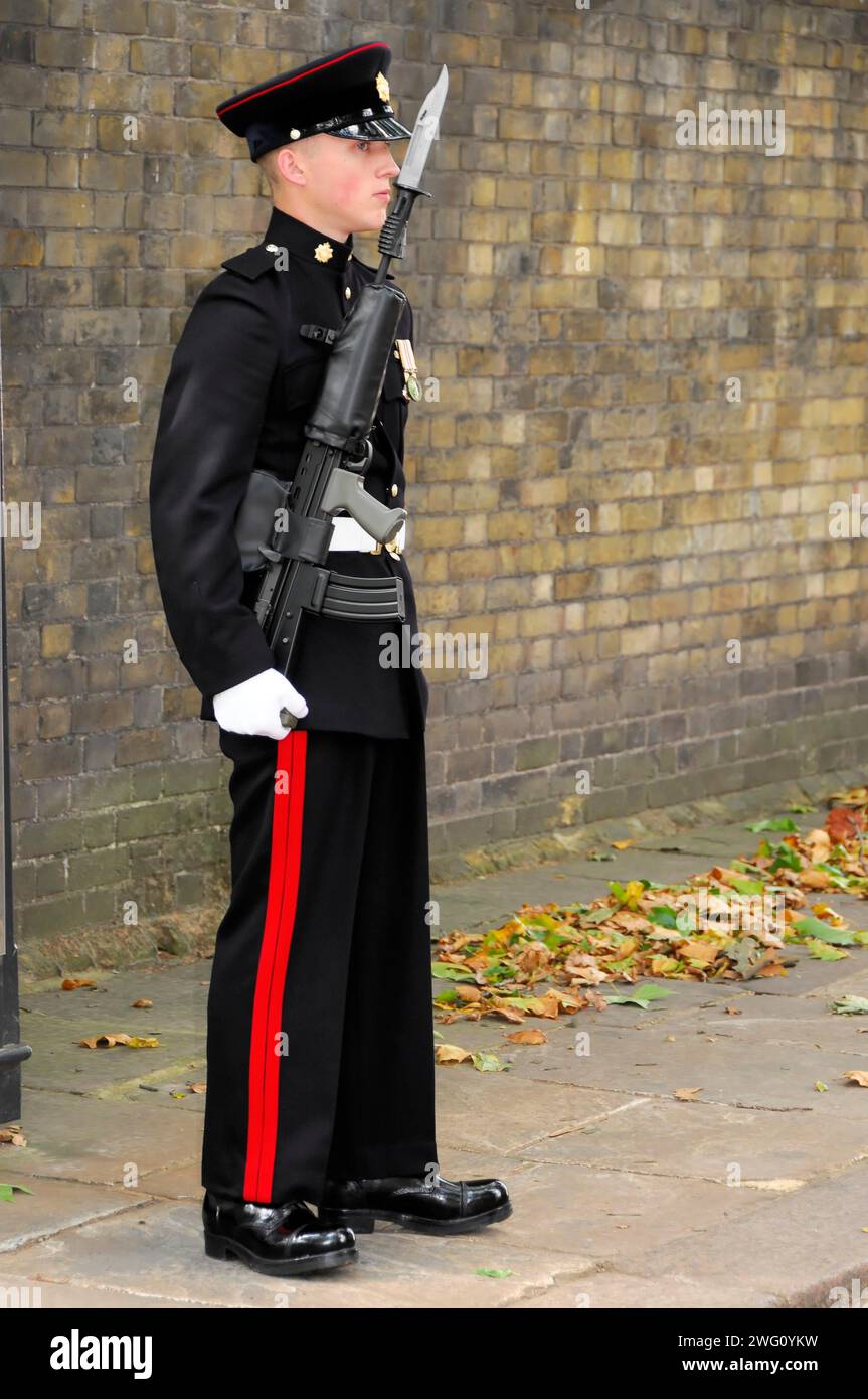 Royal Guard at the Changing of the Guard, Buckingham Palace, London ...