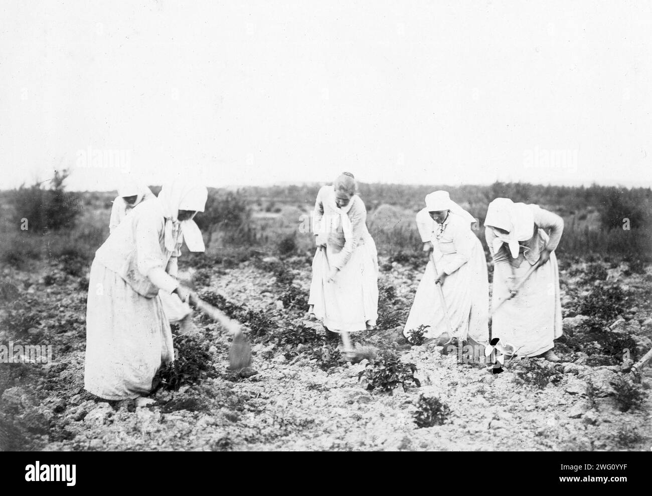 Women Hard Labor Convicts at Work, 1890. The photographs were taken on ...