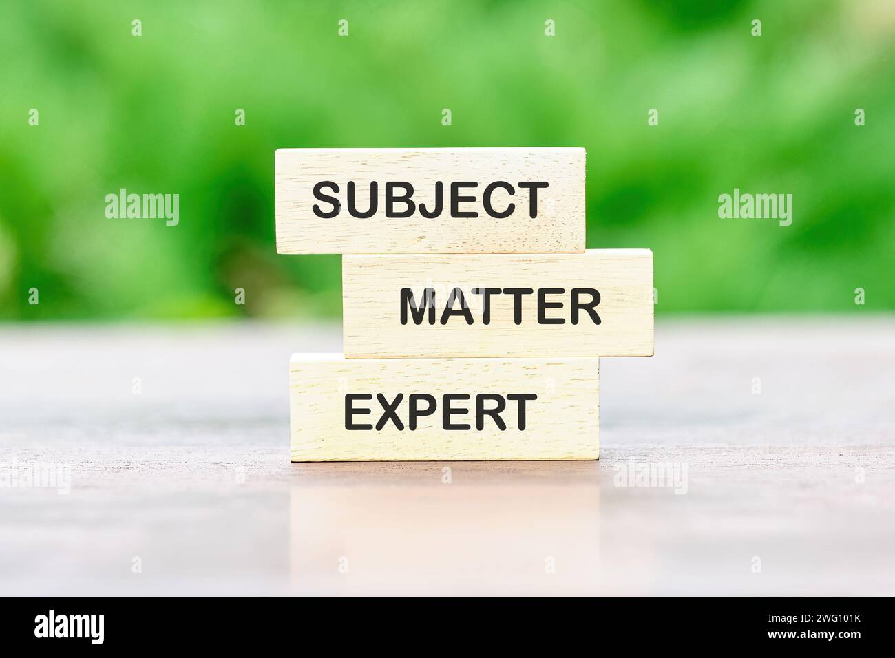 On wooden blocks the inscriptions SUBJECT, MATTER, EXPERT. Business ...