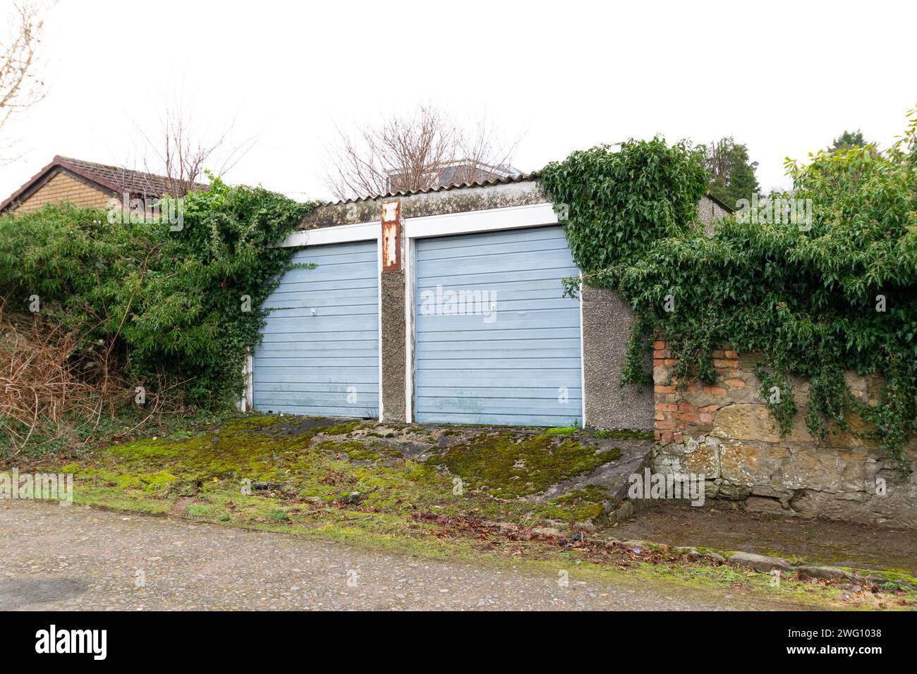 a suburban scene with an overgrown brick fence, garages, ivy, trees and ...